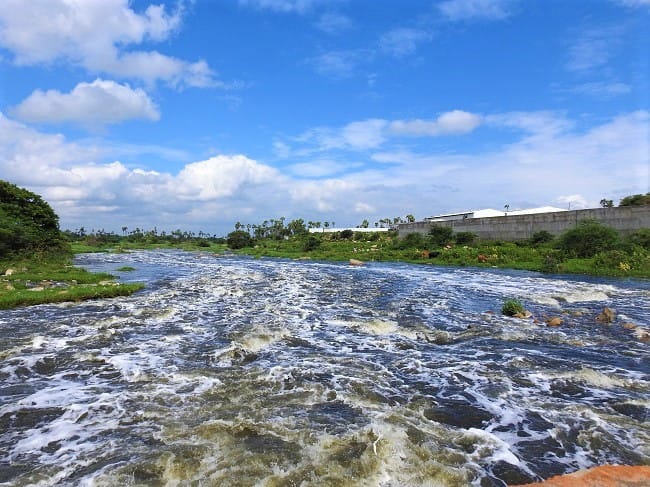 A looming health threat in Hyd? How polluted Musi water finds its way ...