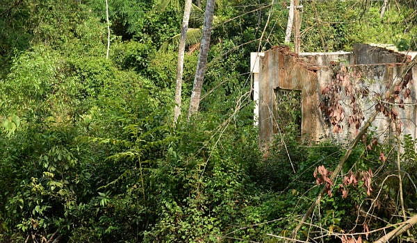 ‘Exorcising’ a ghost to save a pond: Heartwarming story from Kerala ...