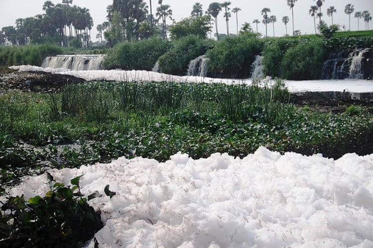 Hyderabad's 'development' turned this village's lake toxic, and locals ...