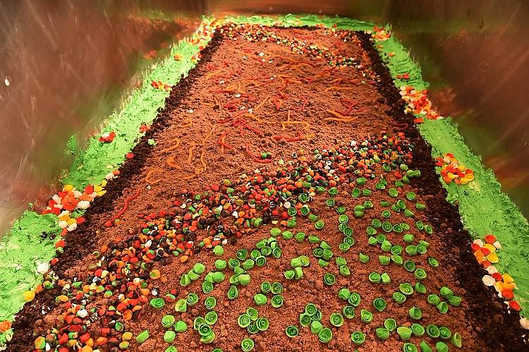 A tonne of delicious dirt: Bengaluru bakers set world record for ...