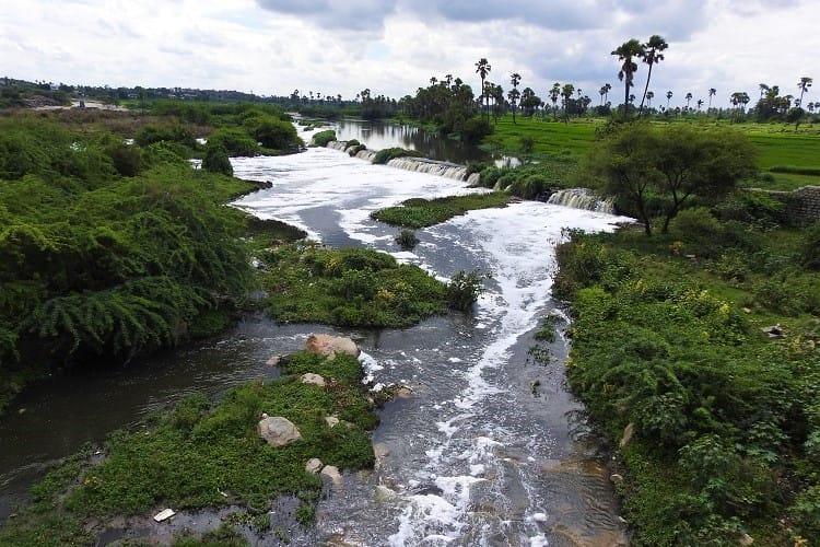 A looming health threat in Hyd? How polluted Musi water finds its way ...