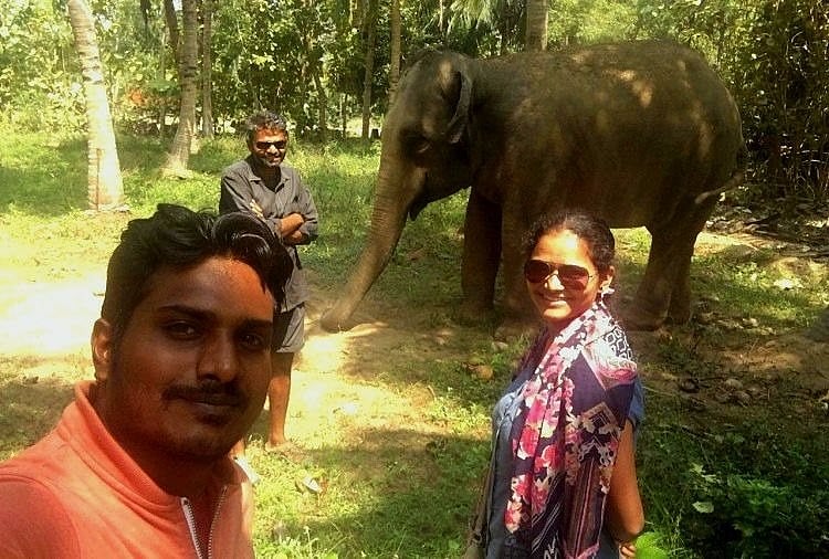 Jumbo shift: Meet the Bengaluru couple who dropped lucrative jobs to ...