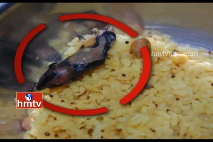 Dead rat found cooked along with prasadam at Bhadrakali temple in Warangal