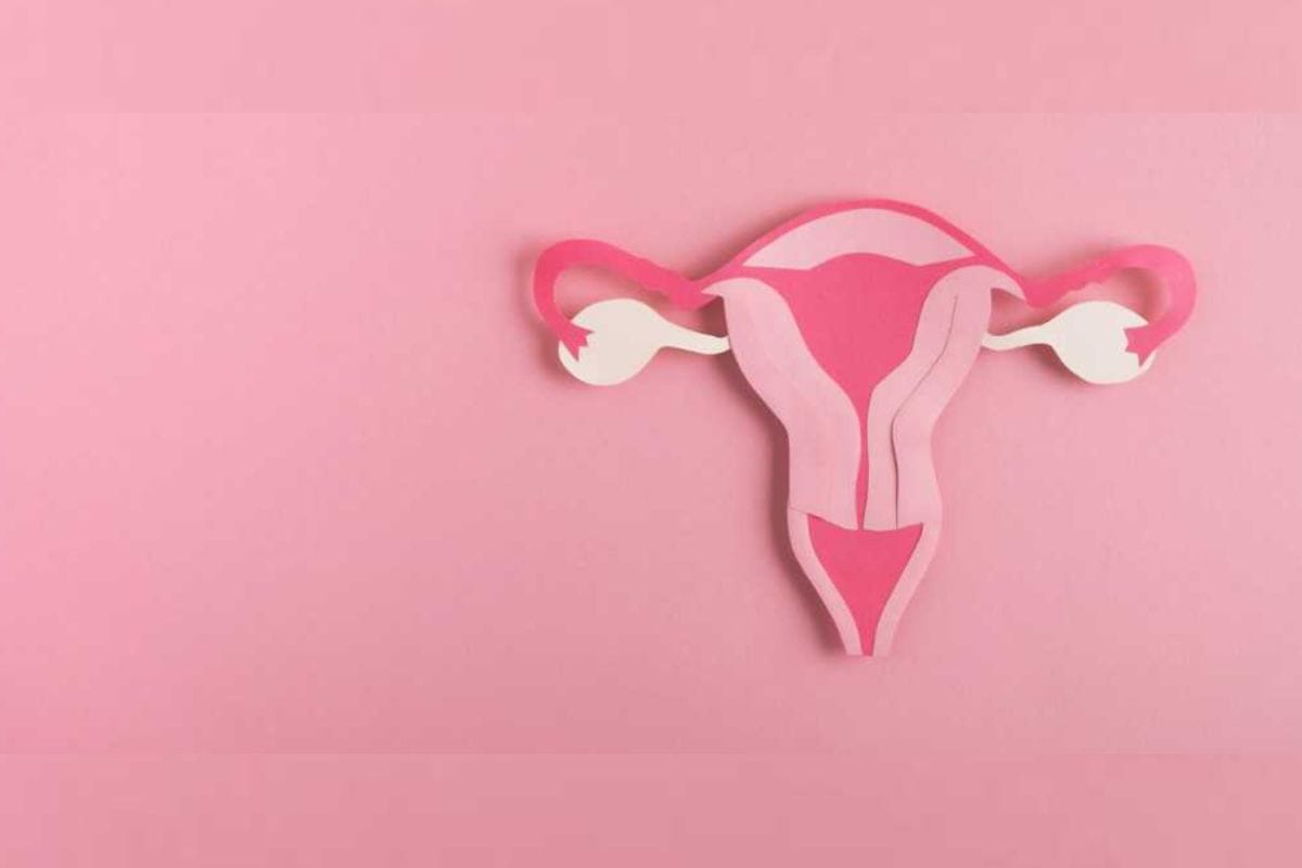 UK’s first successful womb transplant – key questions answered