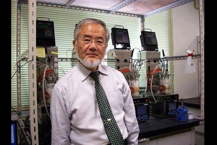 Yoshinori Ohsumi: A deserving winner of the Nobel Prize for physiology ...