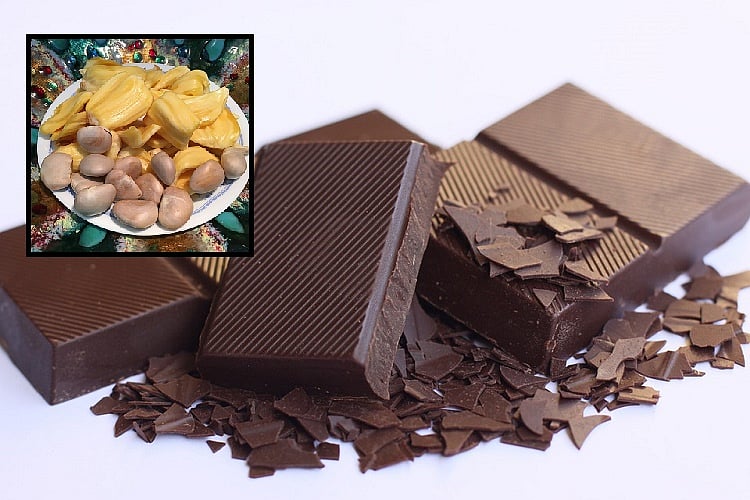 Guess what could replace the finest cocoa beans in your chocolate ...