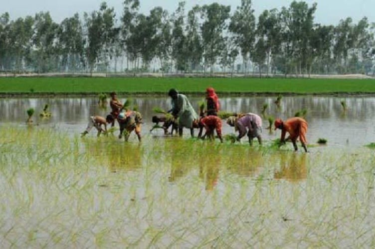 5 things to know about Act declaring Cauvery delta a Protected ...