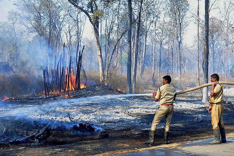 Four forest fires in 10 days destroy 700 acres of trees in Karnataka ...