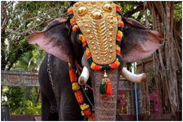 Kerala’s celebrated temple elephant Thiruvambadi Sivasundar passes away