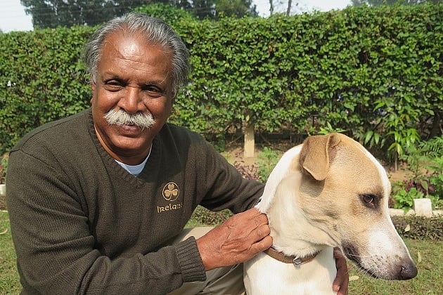 ‘Just like the Taj Mahal, Indian dogs are a part of our heritage ...