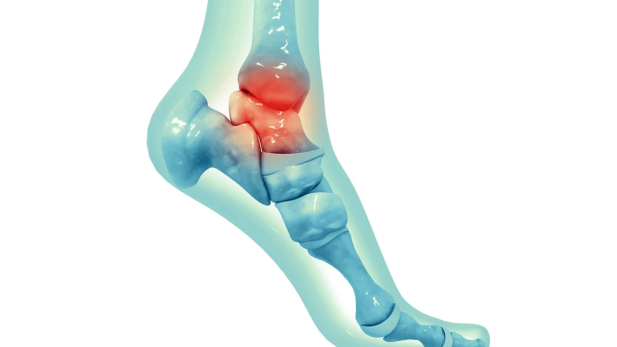 Cartilage In Human Joints Can Repair Itself Through A Process Similar