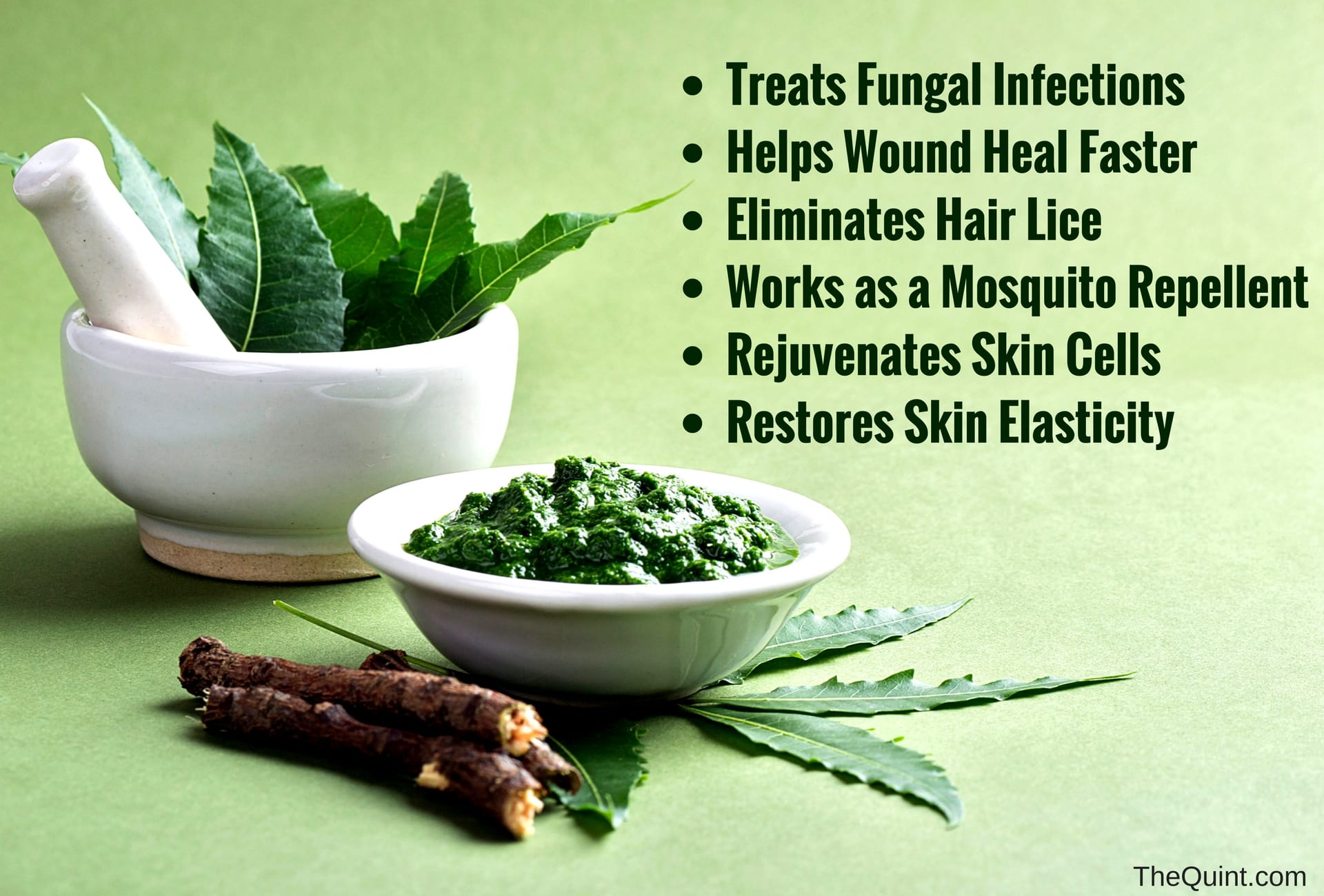 Benefits Of Neem The Wonder Leaf That Keeps Diseases At Bay Benefits Of Neem The Wonder Leaf That Keeps Diseases At Bay