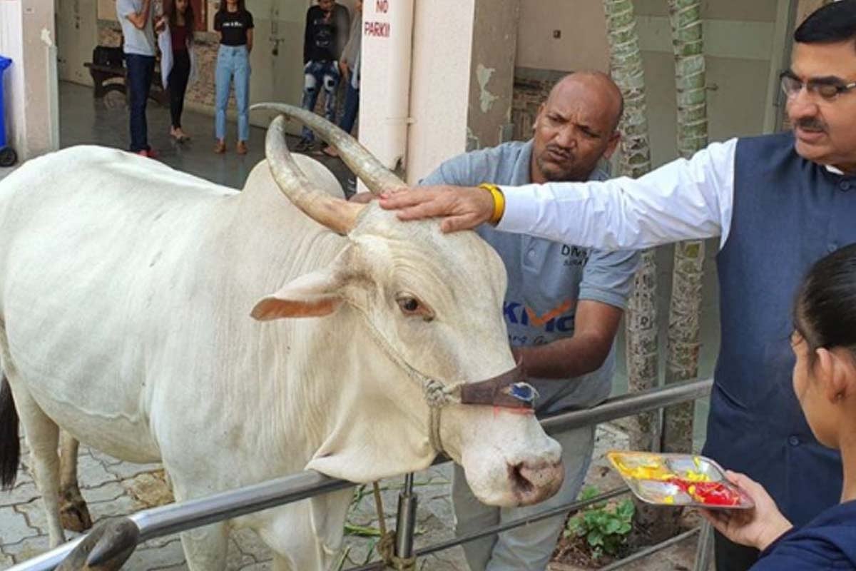 ‘Not differentiating science from quackery’: Scientists slam UGC ‘cow ...