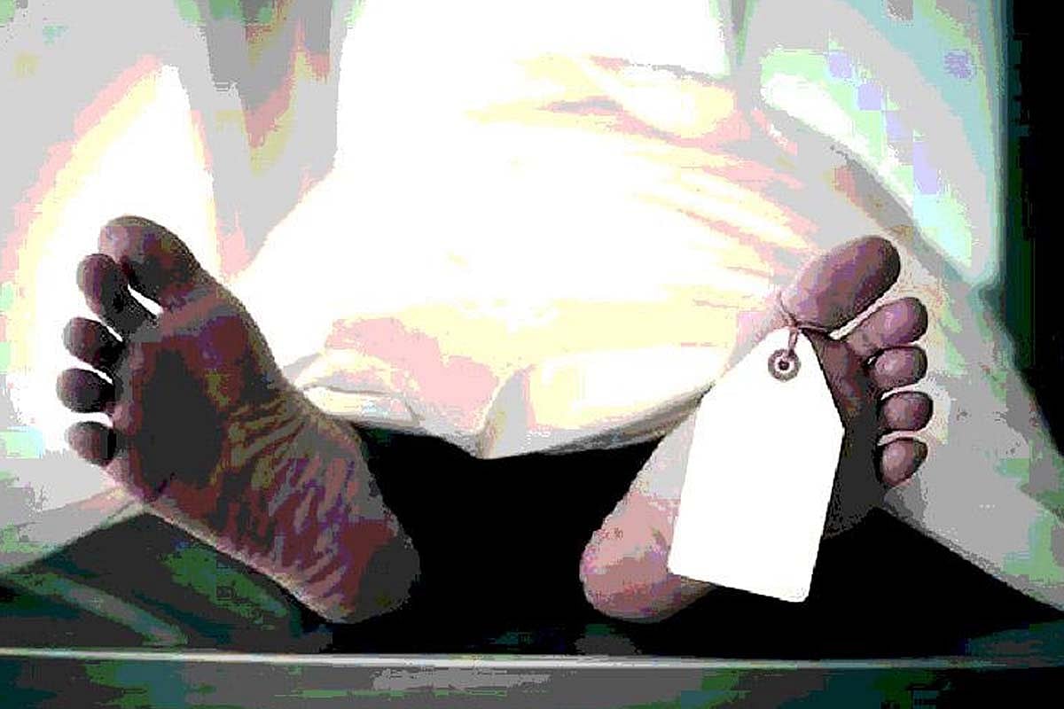 Karnataka teen dies in explosion after crude bomb meant to kill wild ...