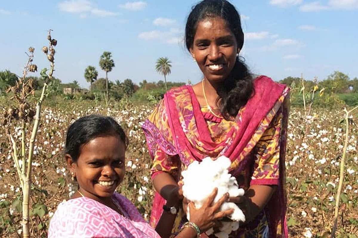 PARI series from Karadi Tales: Inspiring stories from rural India for ...