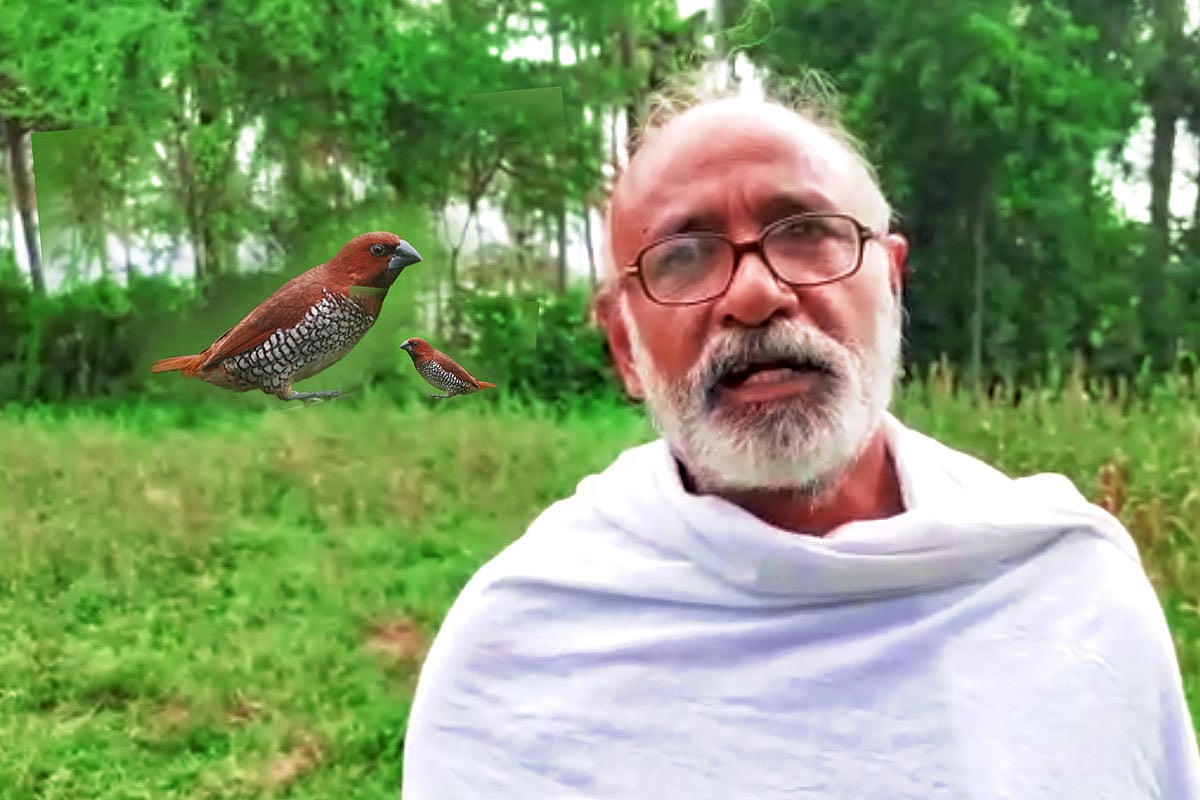 Meet farmer Muthu who dedicated half an acre just to feed birds