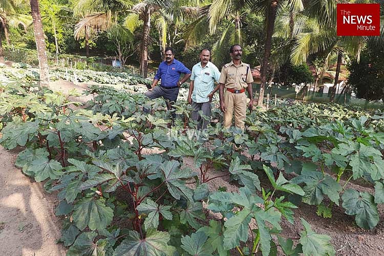 Prisoners at this open jail in Kerala are leading an agri revolution ...