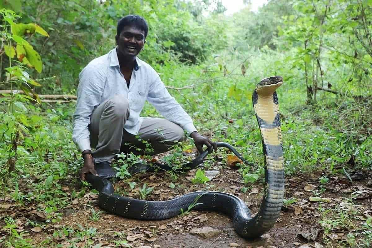 Renowned Kerala snake handler Vava Suresh bitten by cobra, hospitalised