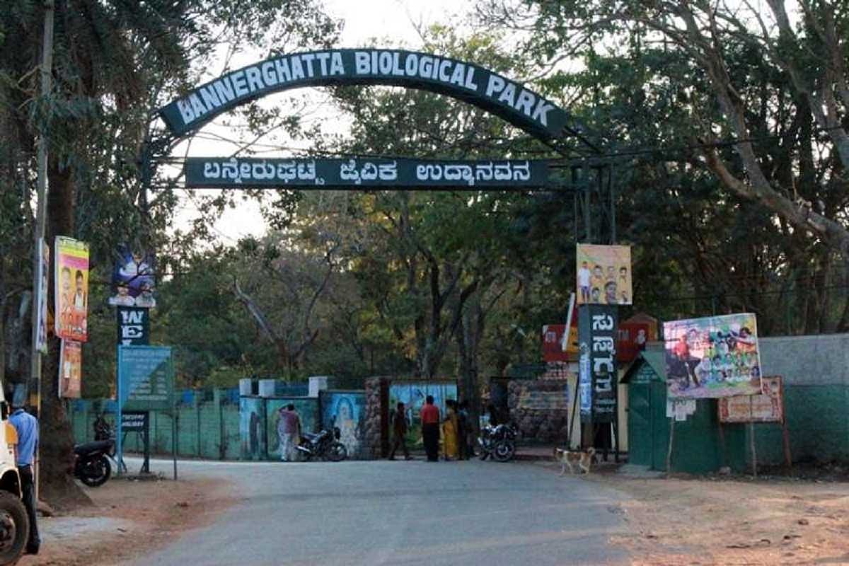 Bengaluru’s Bannerghatta zoo to reopen from July 1