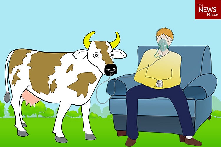 Cows exhale oxygen and five other (un)scientific gems from BJP leaders