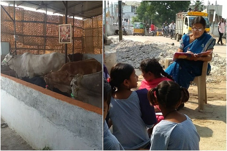 Cows more important than education? School turns into gaushala in Hyderabad