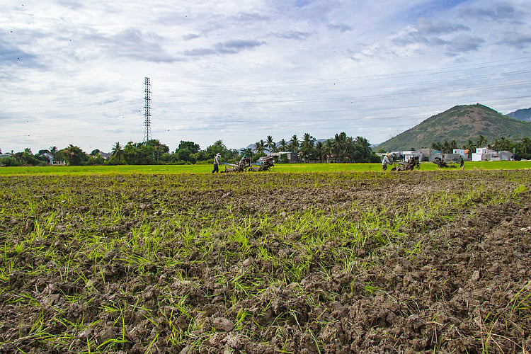 Telangana farmers start using soil health cards