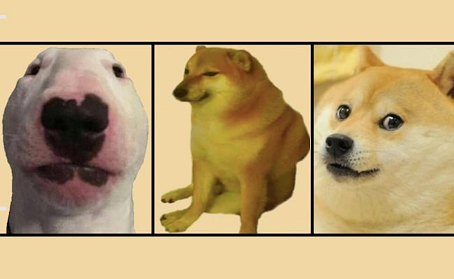 Doge Original