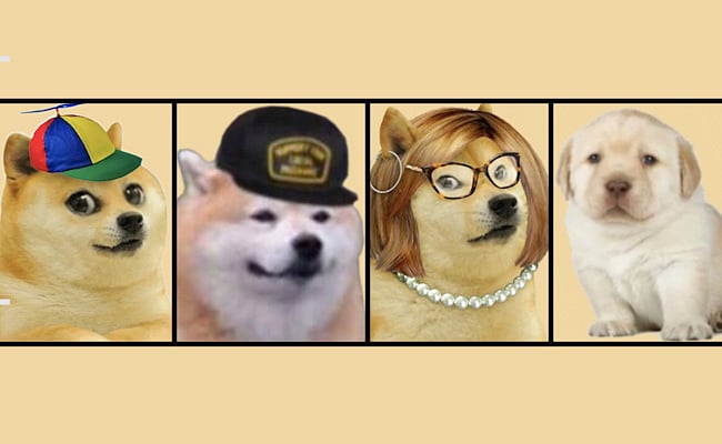 From Doge to Cheems, how dog memes have conquered Tamil social media