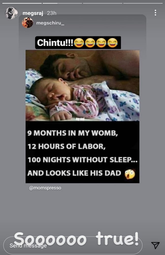 Jr Chiru looks just like his dad, Meghana Raj shares pic on Insta