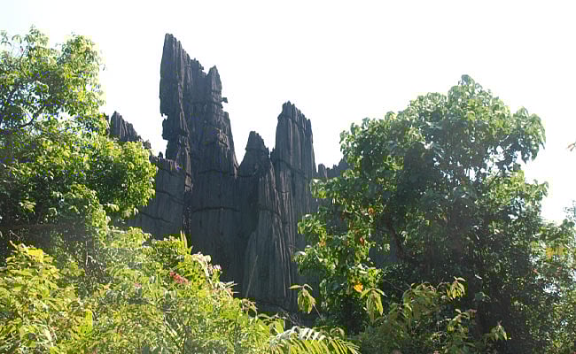 With rock formations and caves, Karnataka’s Yana is a must-visit for ...
