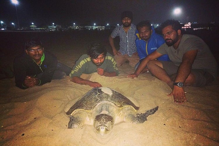 For 28 years, this group has patrolled Chennai's beaches to save Olive ...