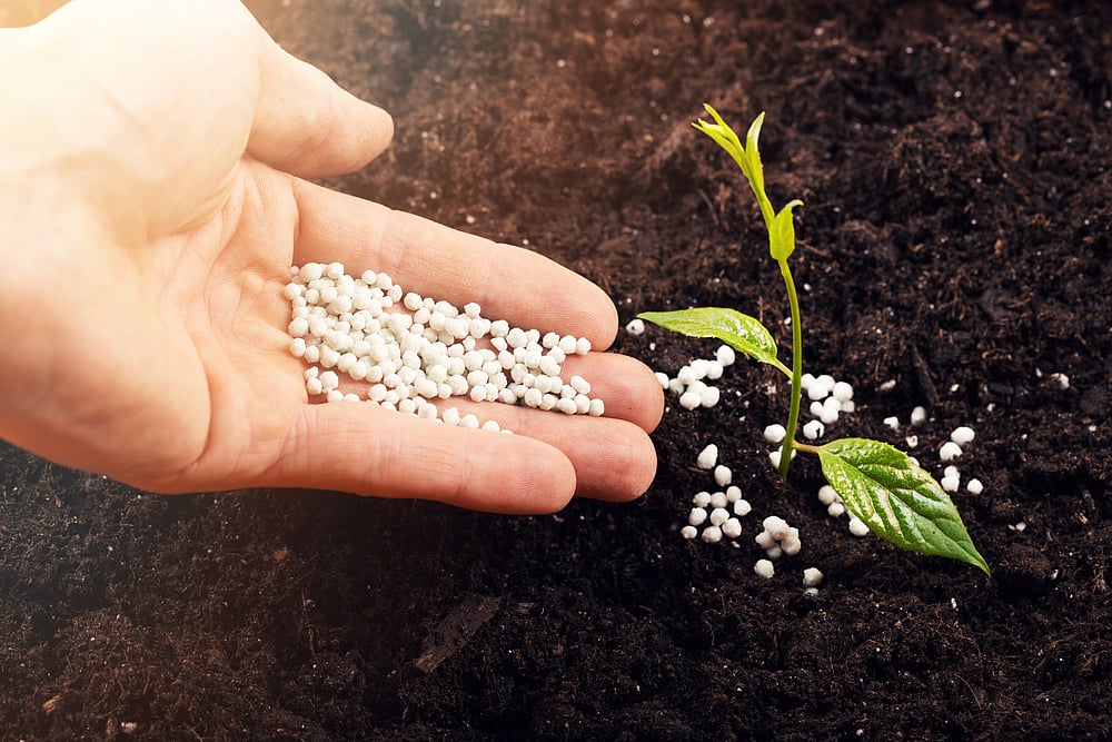 GCC Leading Field in Fertilizer Exports