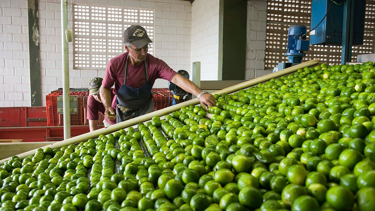 Maersk launches New Visibility Tool ‘Captain Peter’