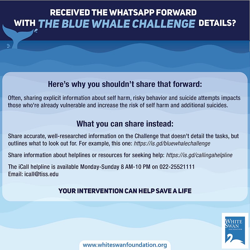 What is the blue whale challenge?