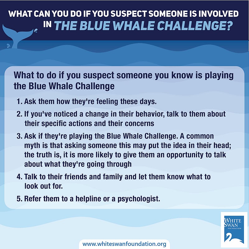 What is the blue whale challenge?