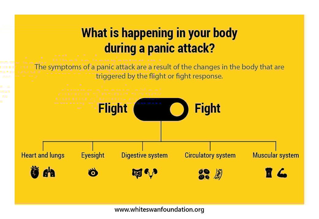 What is happening to your body during a panic attack?