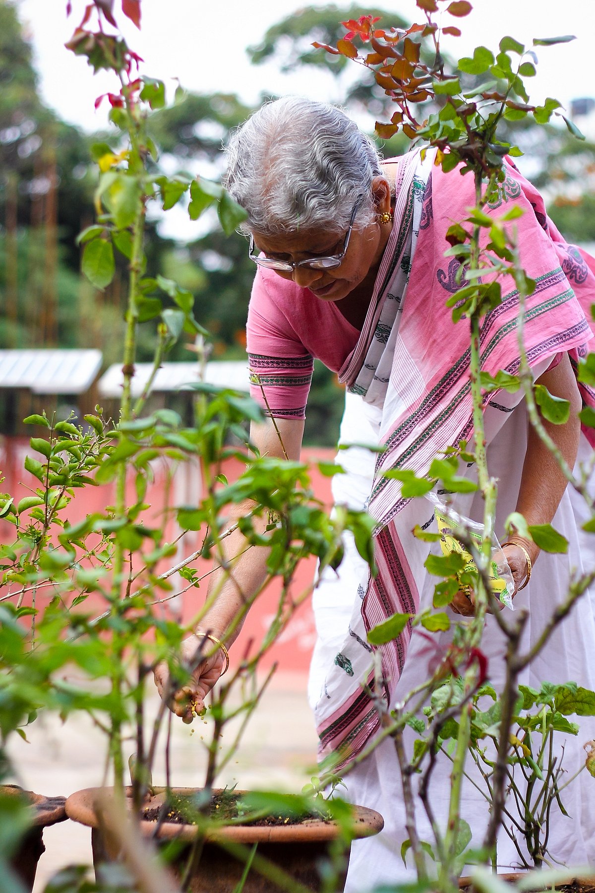 Geriatric anxiety: symptoms, causes and treatment | White Swan Foundation